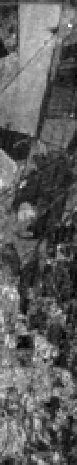 sat-atlas